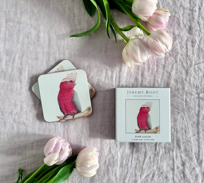 Jeremy Boot Coasters Set of 4 - Galah – Monty & Moo