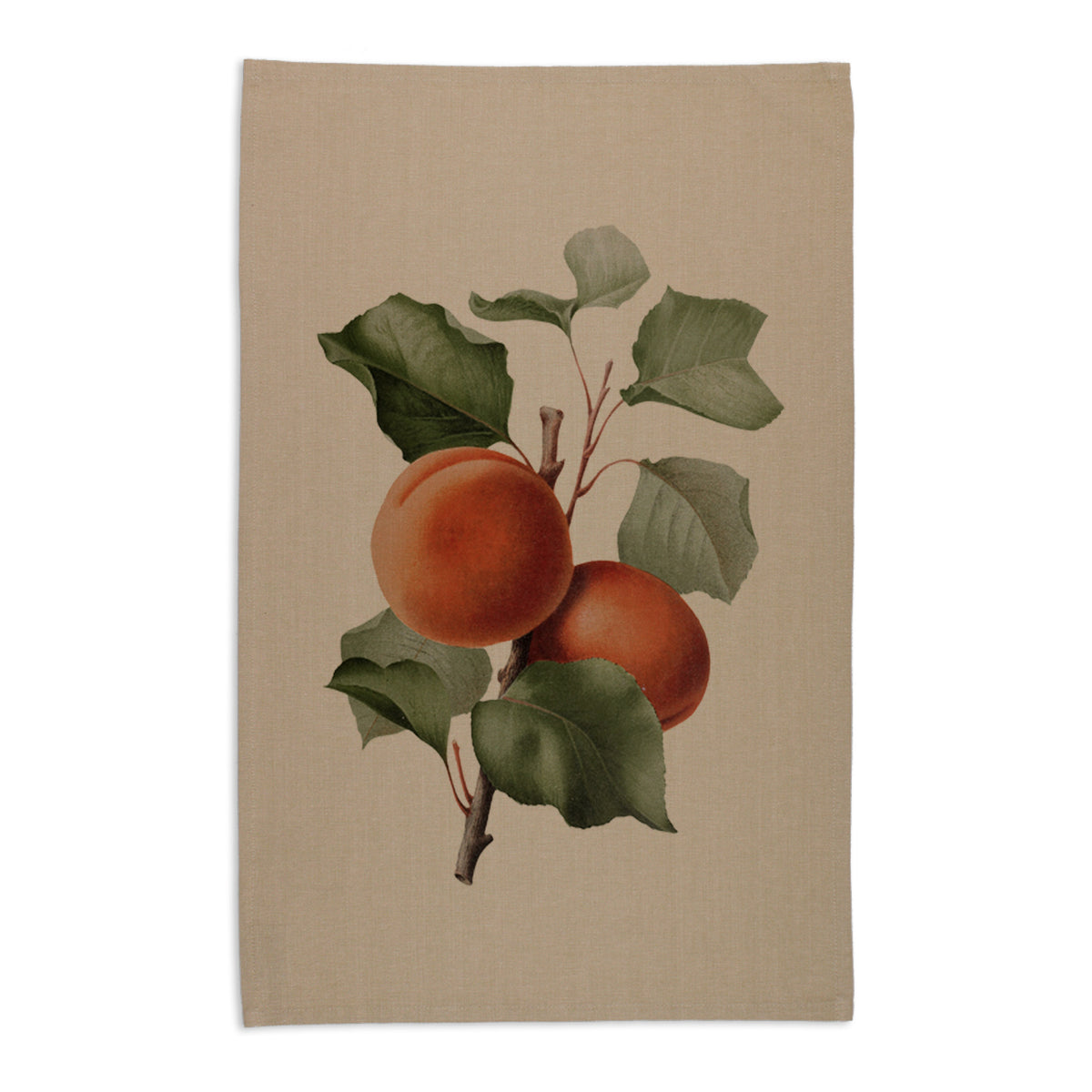 Australian Made Botanical Cotton Tea Towel- Armenium Plum – Monty & Moo